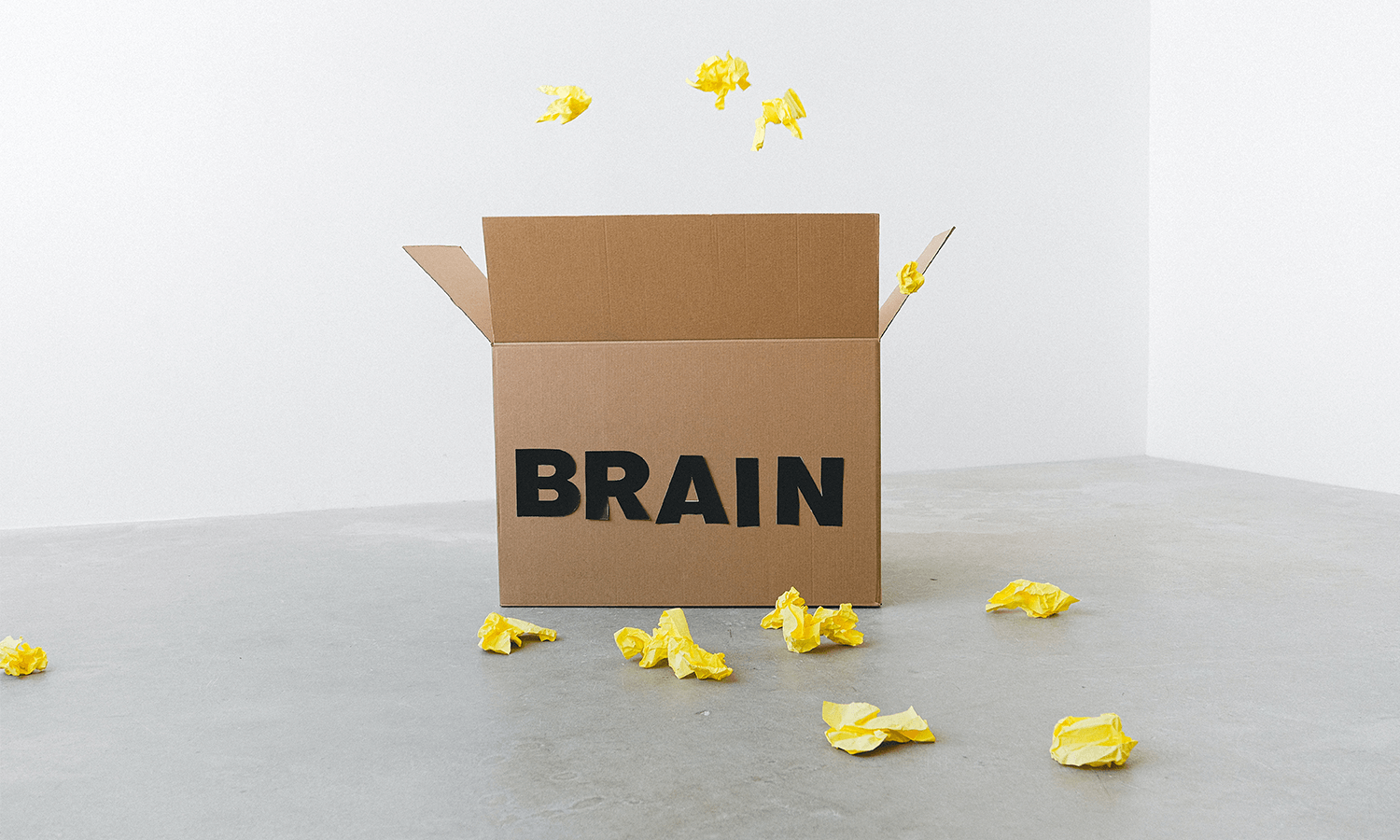 Improvident - Vocabulary of the Day - 字母排列