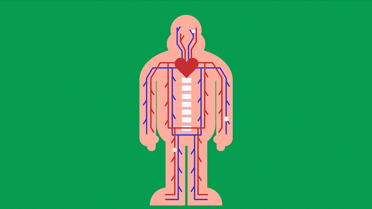 How does your immune system work? - Fill in the Blanks - 字母排列